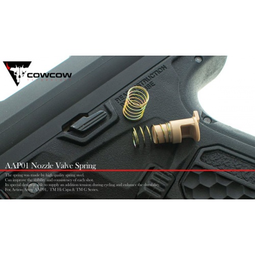 AAP01 Nozzle Valve Spring